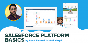 Salesforce Platform Basics - 10PEARLS University